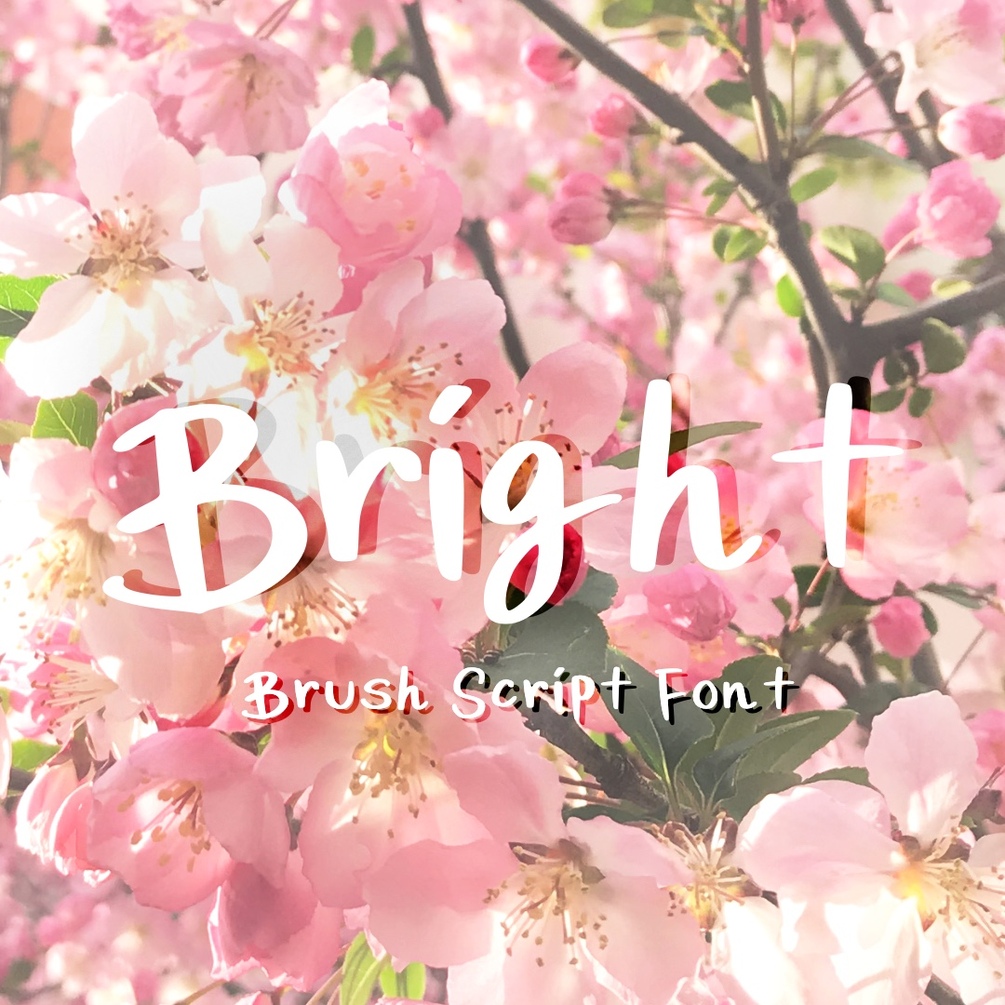 Bright - Brush Script Font