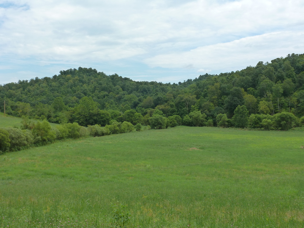 Creating a Surface Chain