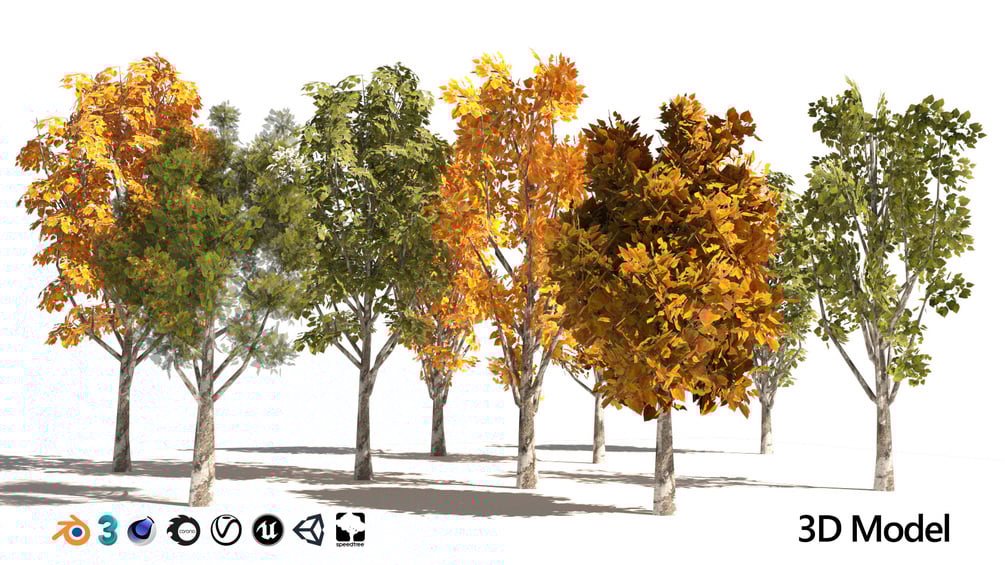 Game Ready Low Poly Grey Poplar Trees