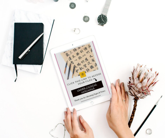 Learn Chinese Language Bundle - Master Cantonese, Mandarin