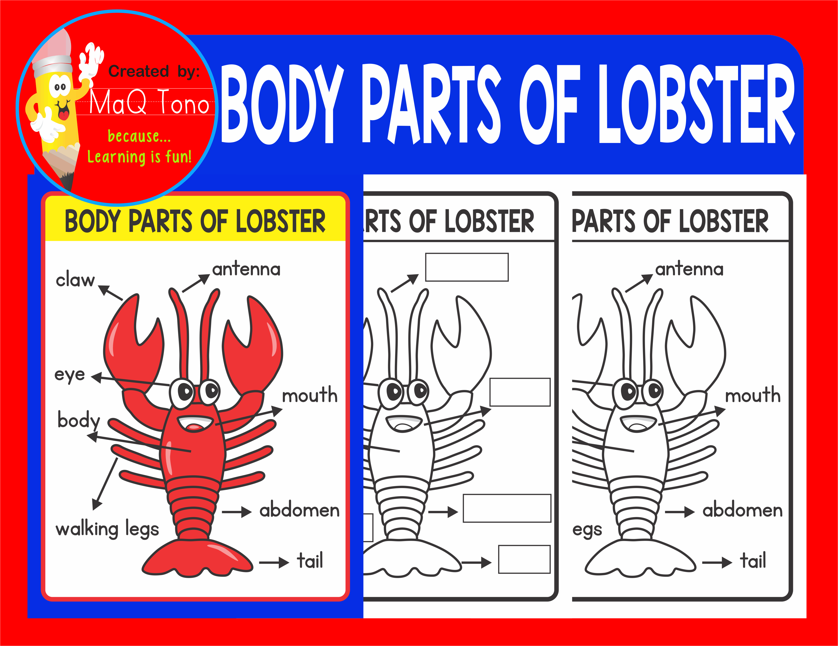 BODY PARTS OF LOBSTER