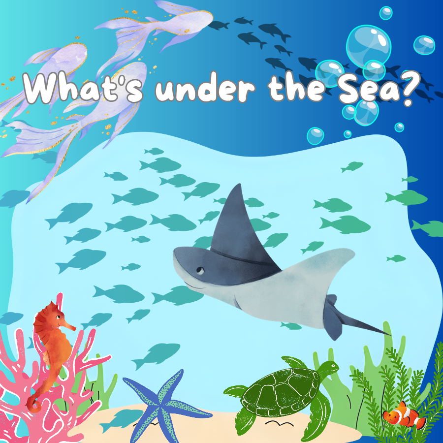 FUN FACTS KIDS BOOK: What's Under the Sea?