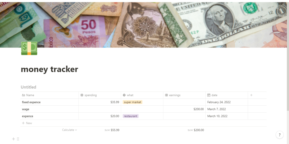 Money Tracker Notion Template