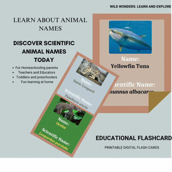 THE ANIMAL EXPLORER BUNDLE