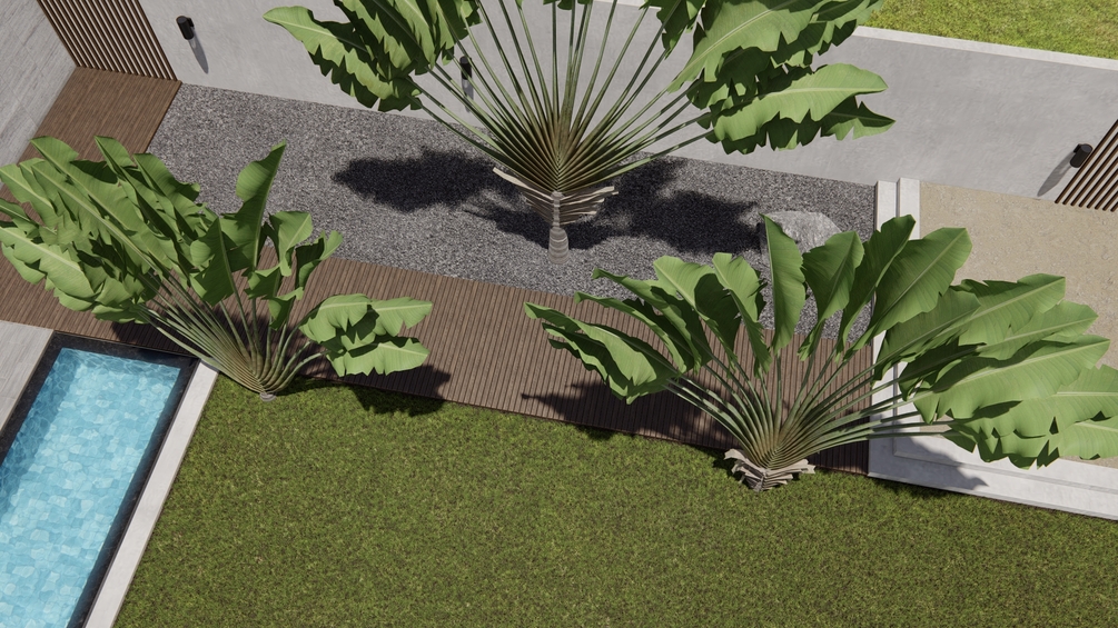 RAVENALA MADAGASCARIENSIS Lumion animated