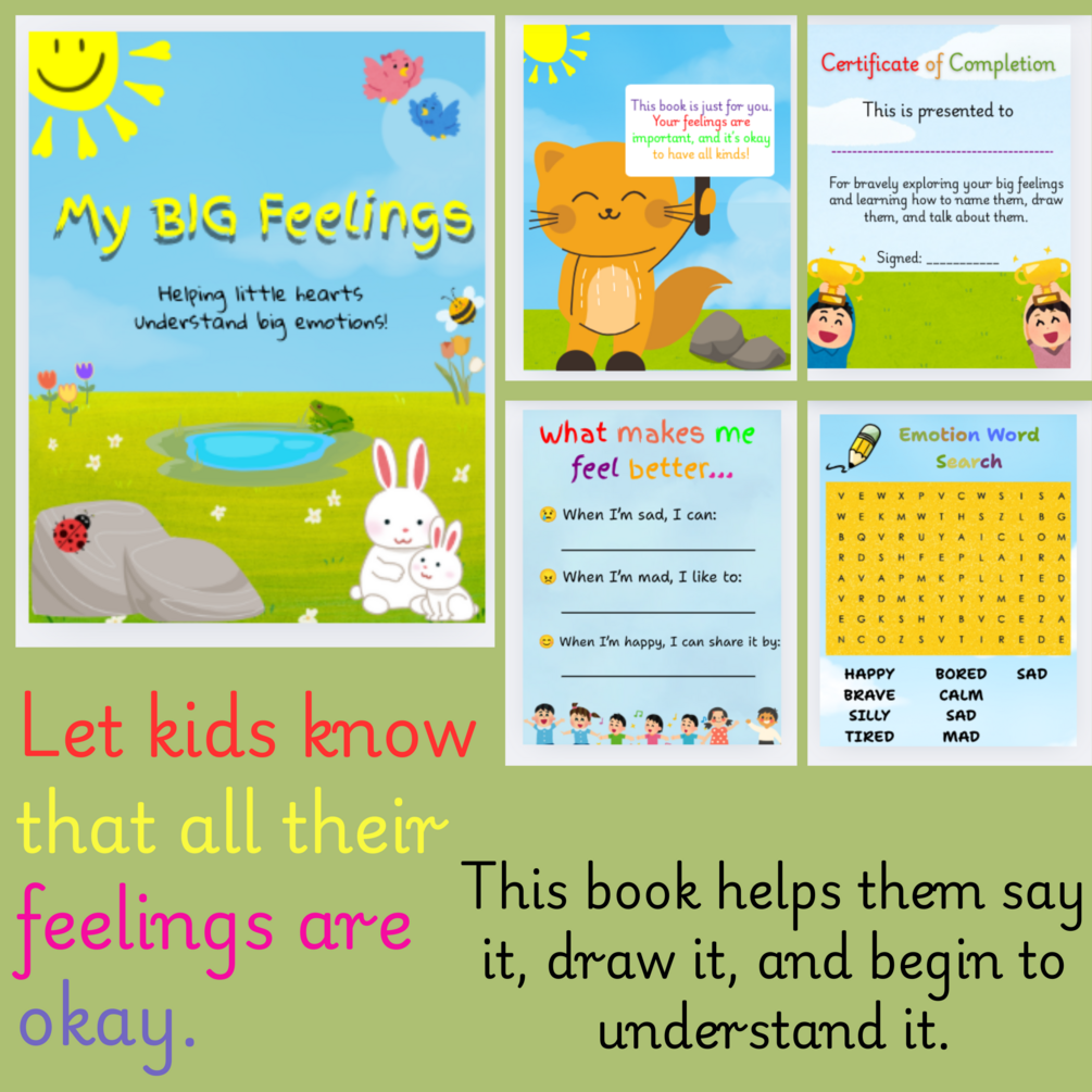 My Big Feelings Book