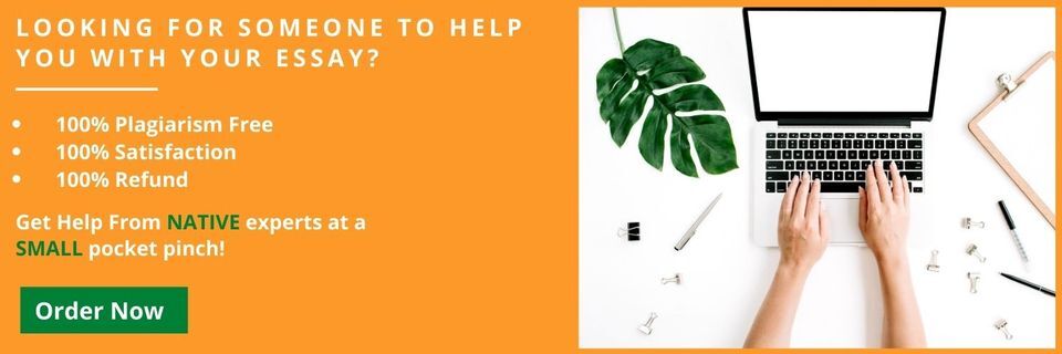 Web Designing Assignment Help Services in the UK