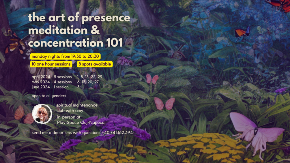The Art of Presence: Meditation & Concentration [live sessions in Cluj ...
