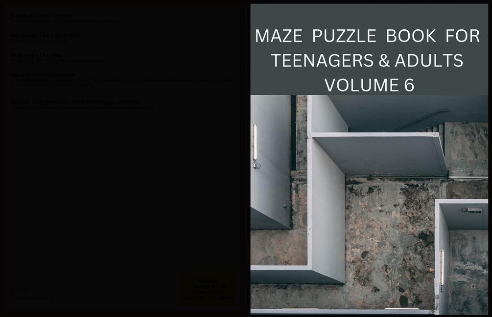 MAZE PUZZLE BOOK FOR TEENAGERS AND ADULTS VOLUME 6