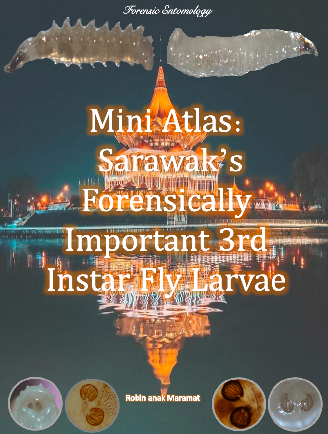 Mini Atlas Sarawak’s Forensically Important Third Instars Fly Larvae