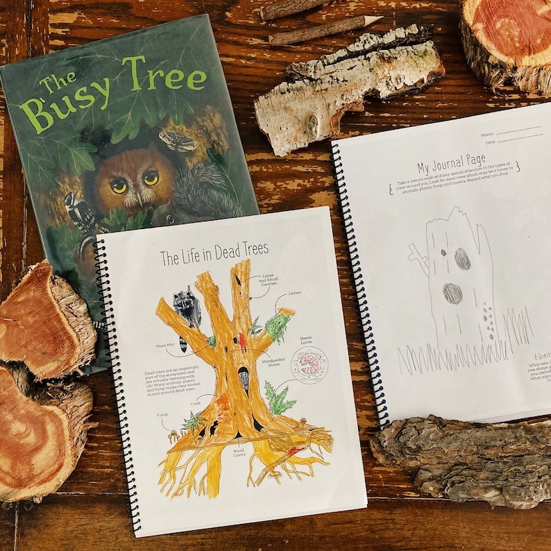 Tree Nature Study BUNDLE - Charlotte Mason
