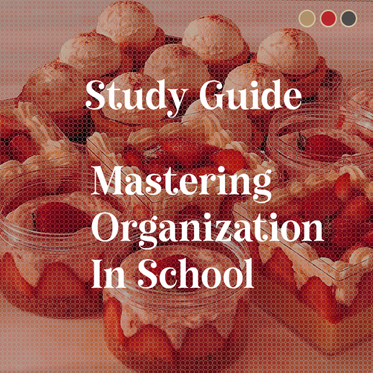 Study Guide — Mastering Organization in School.