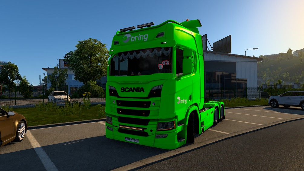 Bring skin for Scania R ETS2