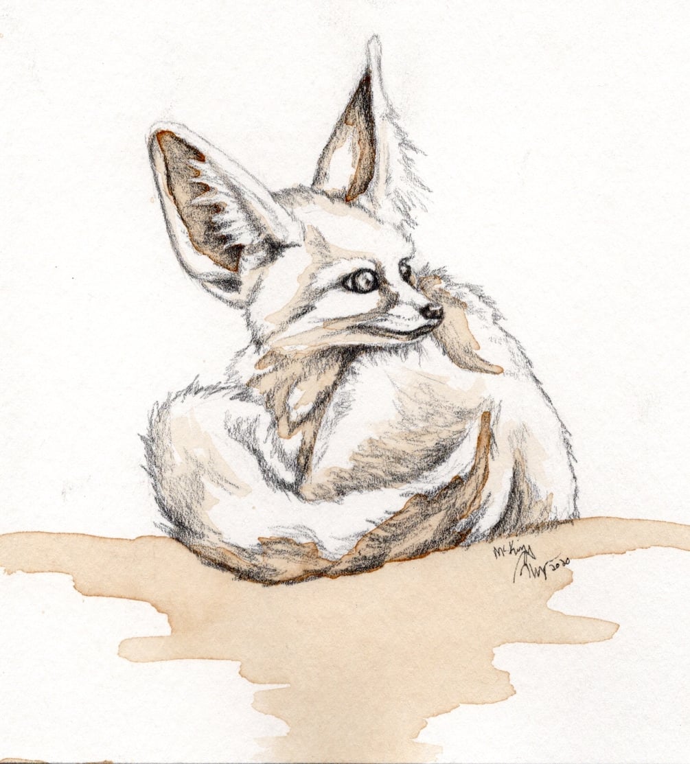 Fennec Fox Small Print
