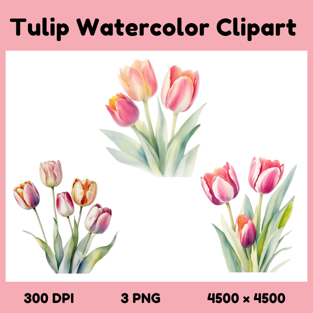 Free Tulip Watercolor Clipart PNG