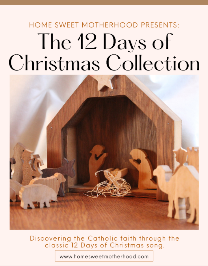 12 Days of Christmas Collection: Discovering the Catholic Faith through ...