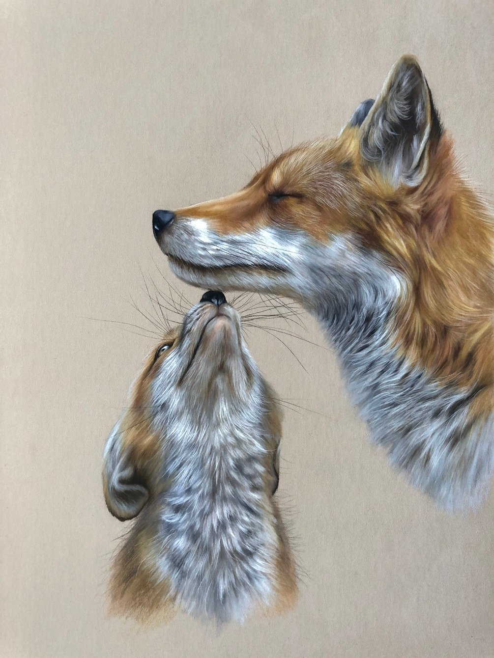 How to Draw a Fox - Realistic animal drawing class in pastel pencils