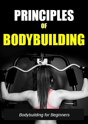Principles of Bodybuilding for Beginners