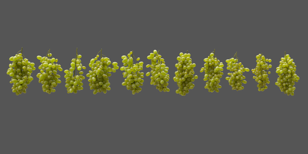 GRUNDFORM - Grape Vines Collection