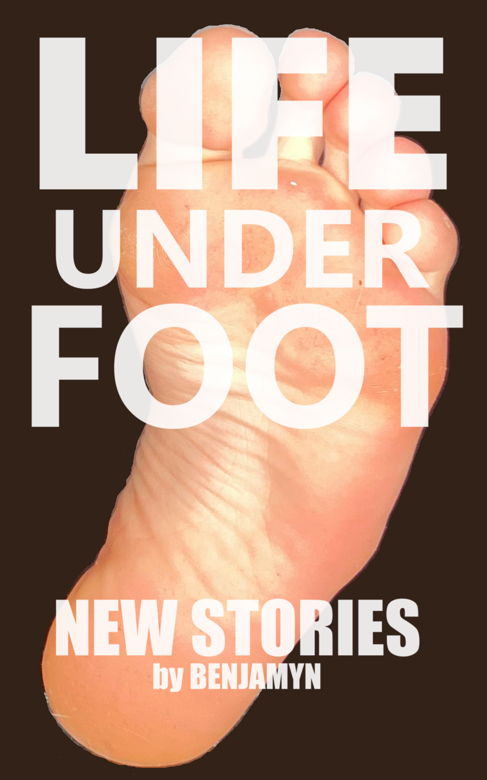 Life Underfoot - 12 New Stories