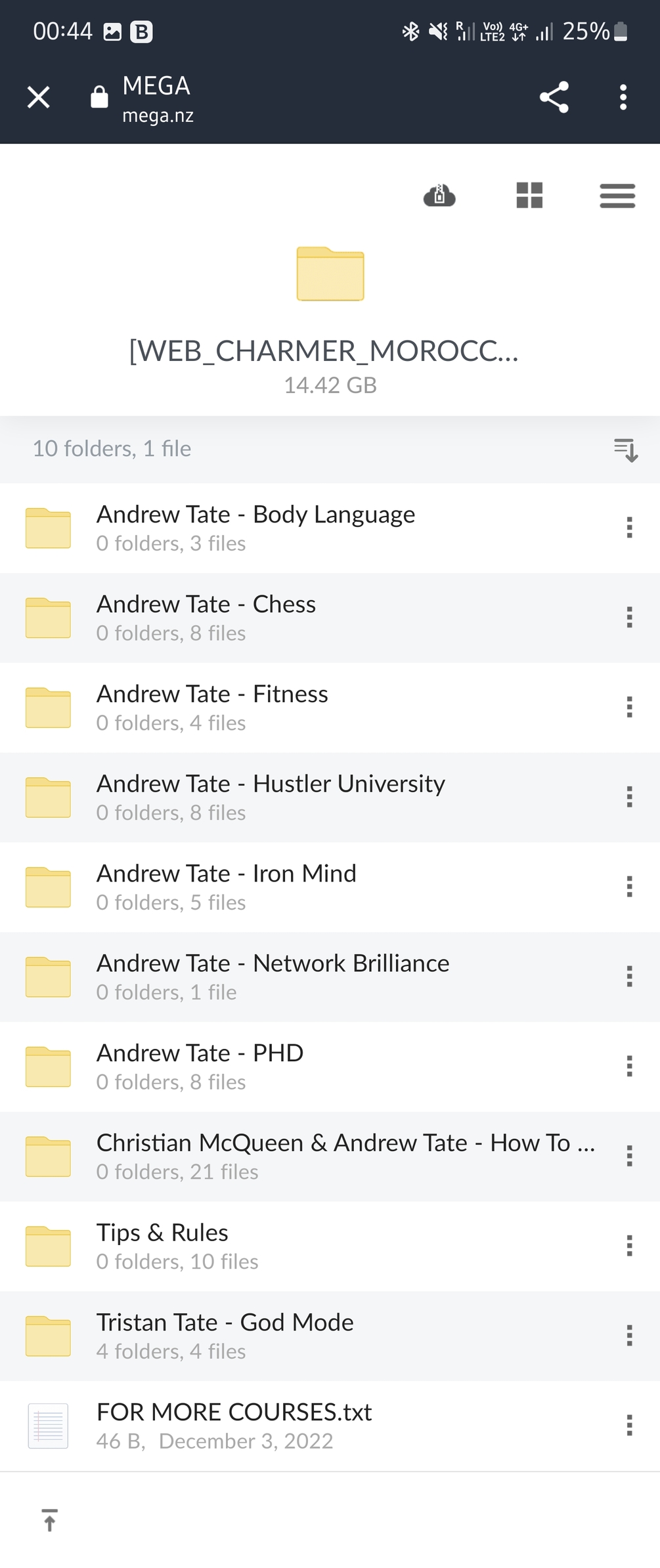 Andrew Tate "The Real World" course bundle