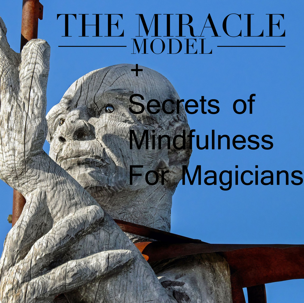 The Miracle Model (Digital Book + Audio Book) + Secrets of Mindfulness ...