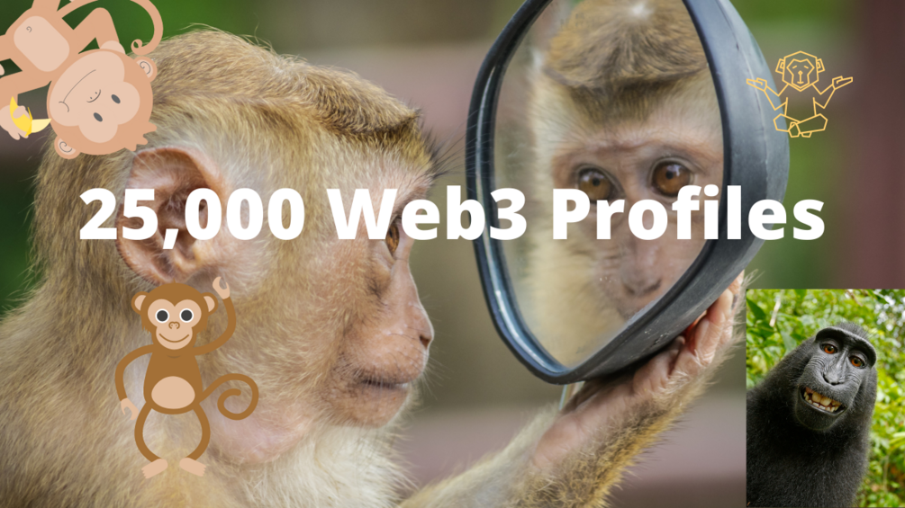25,000 Web3 Profiles