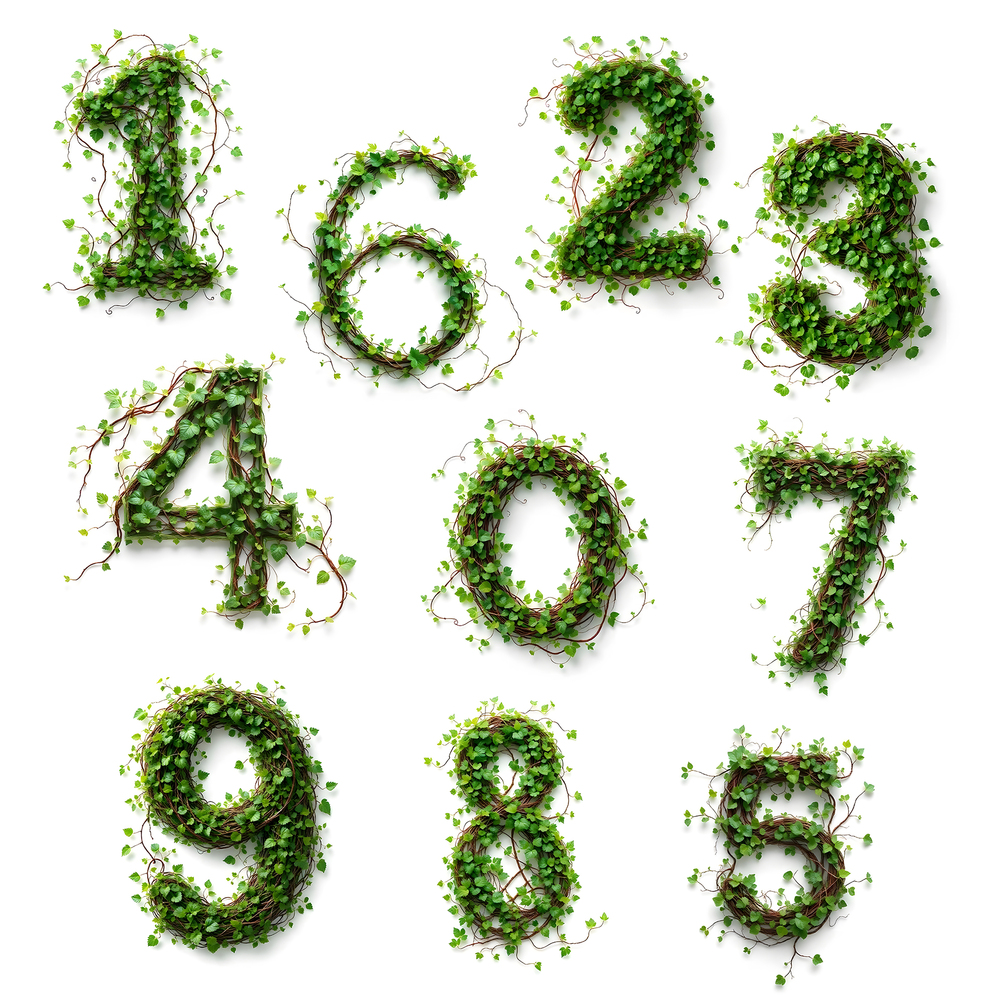 Vine Numbers Pack: 0-9