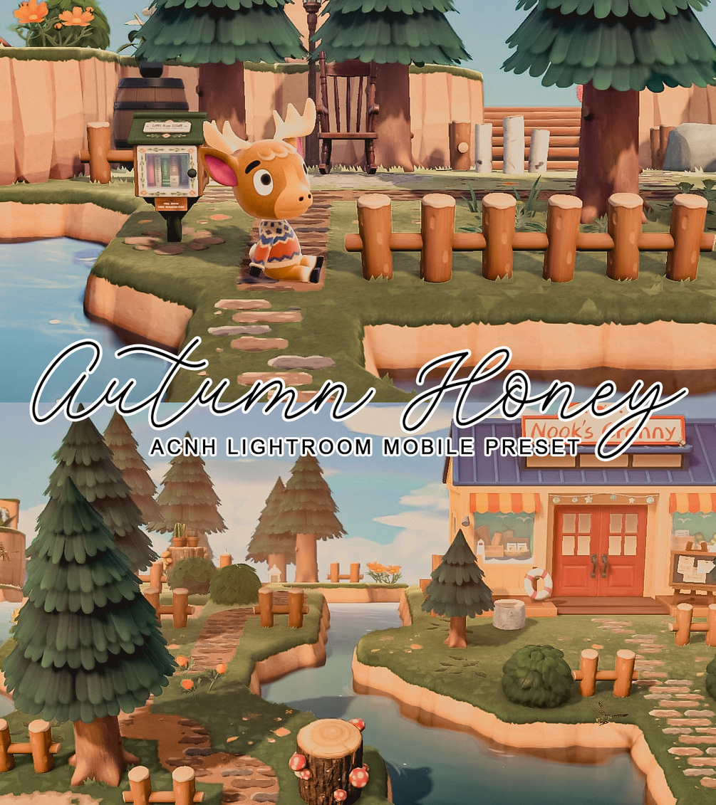 ACNH Presets x Honeyduke