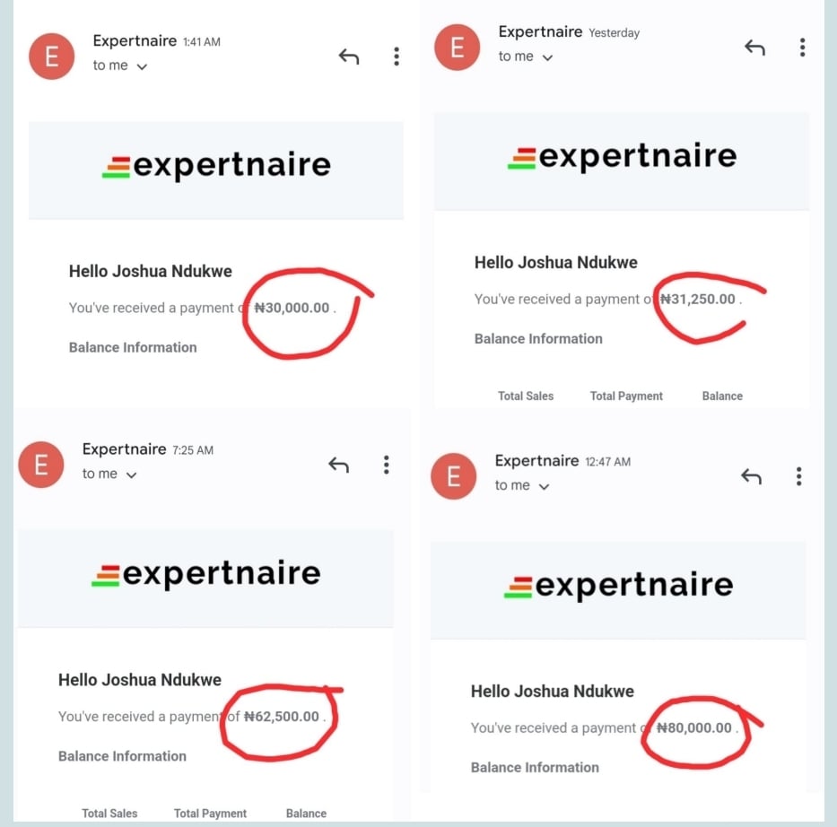 EXPERTNAIRE LECTURE. HOW TO MAKE MONEY ONLINE.