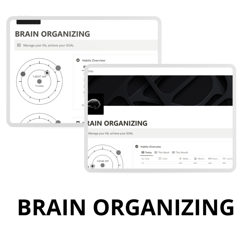 Brain organizing template