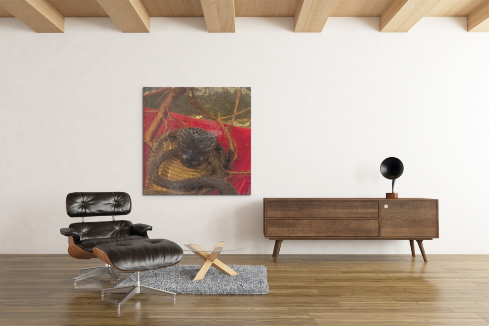Dead Cobra – Blurred Snake Horror Print (Mask by Mack Escrow)