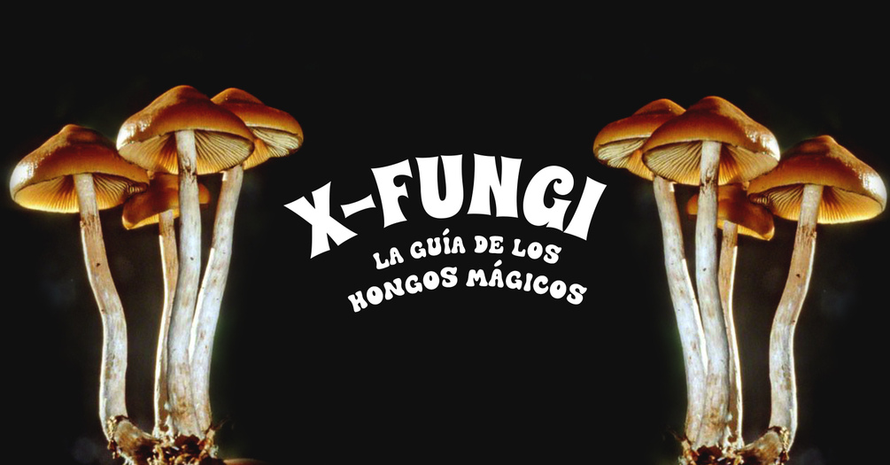 X-Fungi La Guía de los Hongos M.