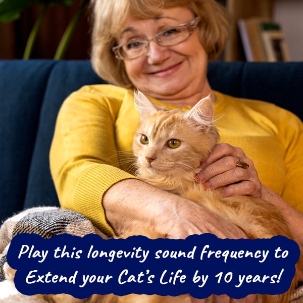 Longevity Sound Frequency for Cats - Extend Your Cat's Life by 10 Years!