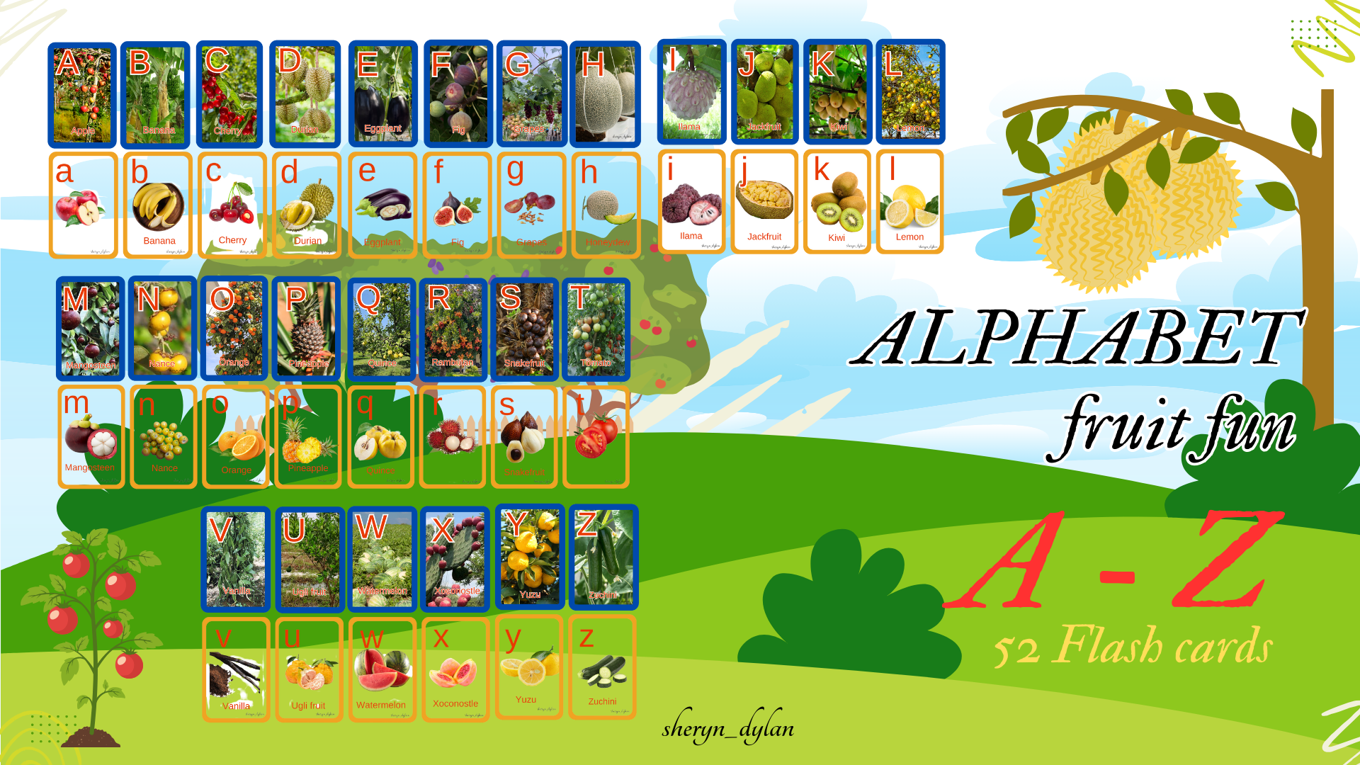 Alphabet Fruit Fun A - Z ( 52 Educational Flash cards )