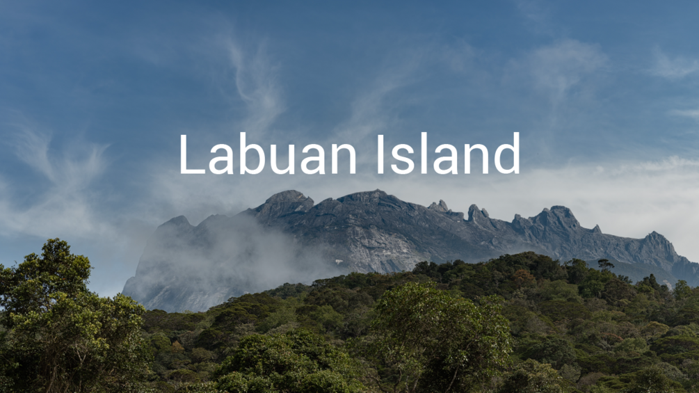 008 Short Reads with Vocabulary Guide (with Chinese Translation ...