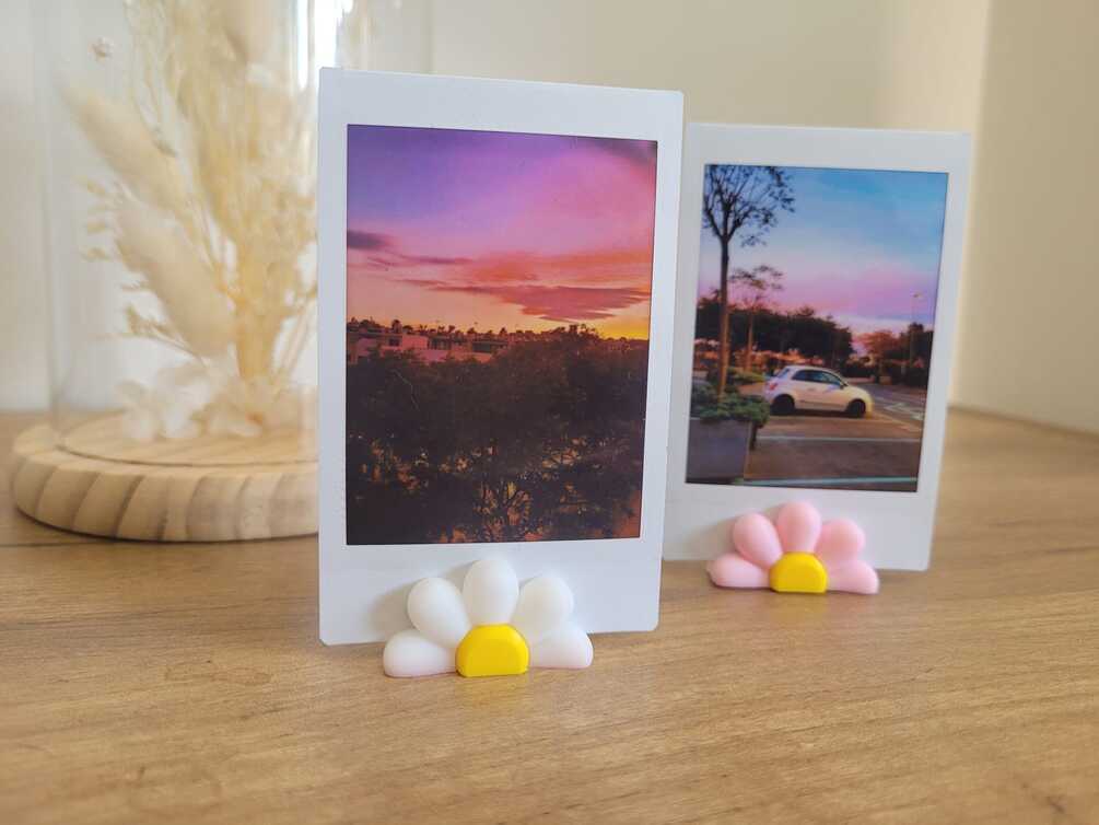 Daisy Photo & Notes Stand (Commercial License)