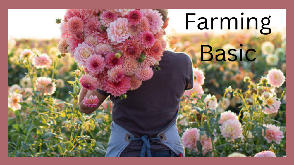 Flower farming for beginners