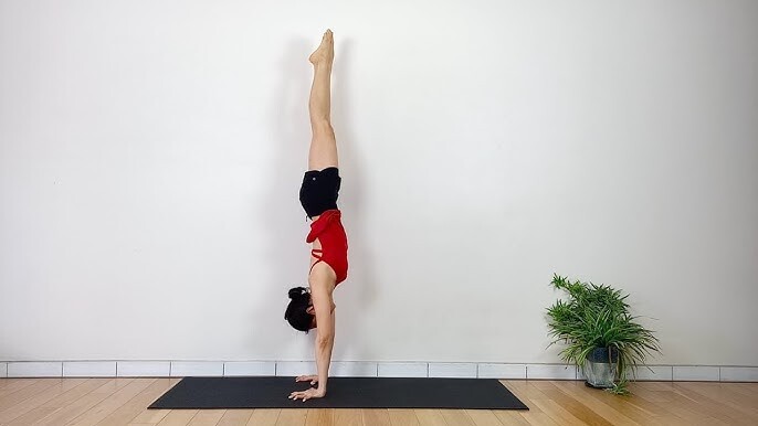 Handstand Press Program PDF