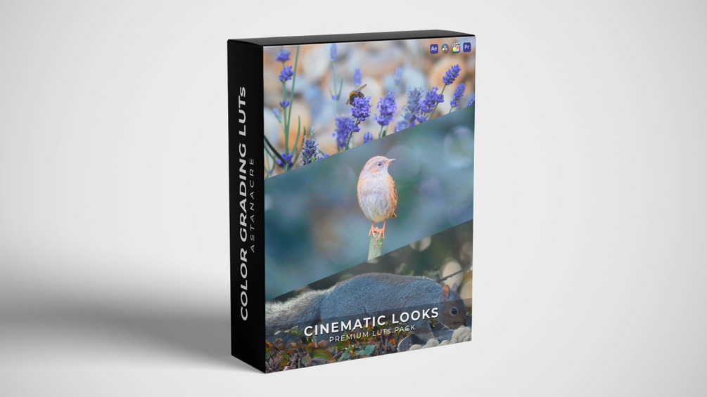 Cinematic Looks LUTs Color Grading