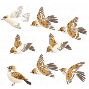 Sparrows Vector imege