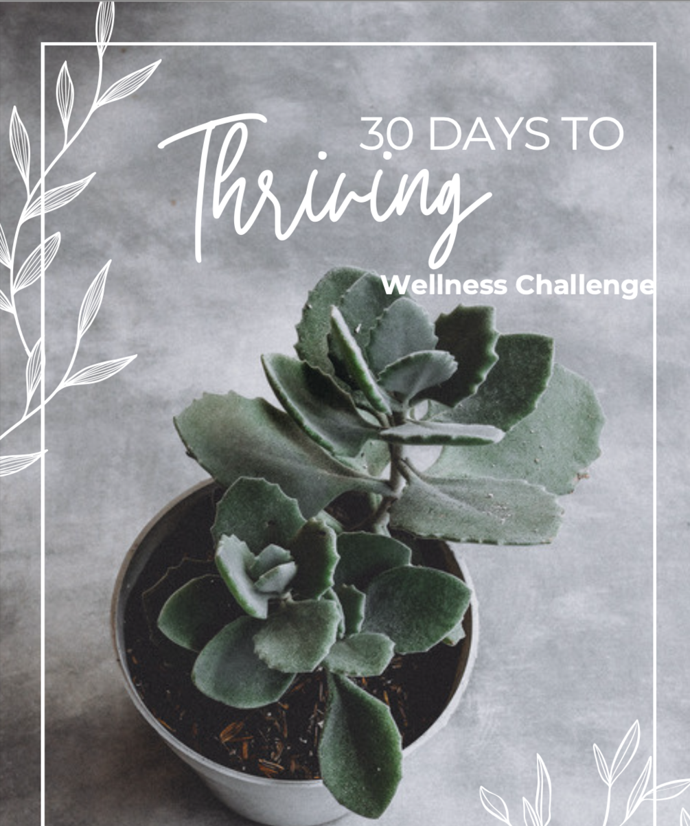 30 Days to Thriving: A Wellness Challenge & Guided Workbook