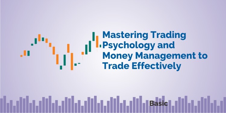 The Solutions for the most common Trading Problems
