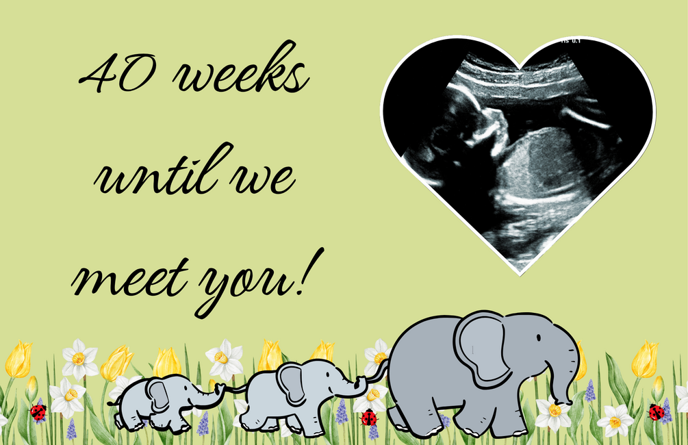 Weekly Pregnancy Calendar