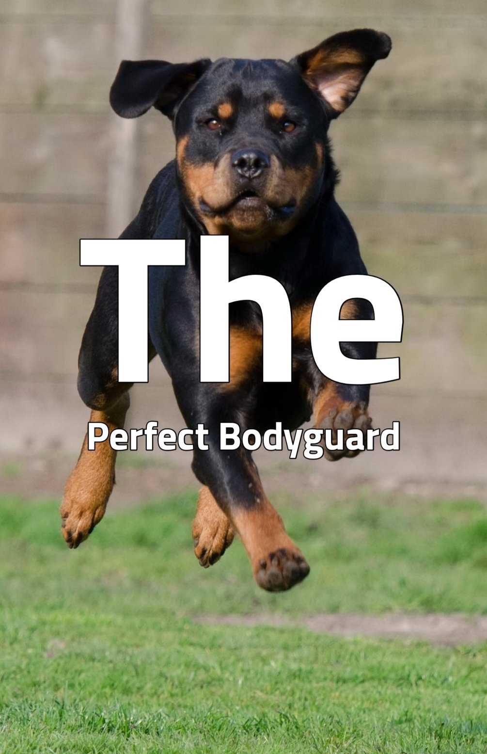 Rottweiler : The Perfect Bodyguard