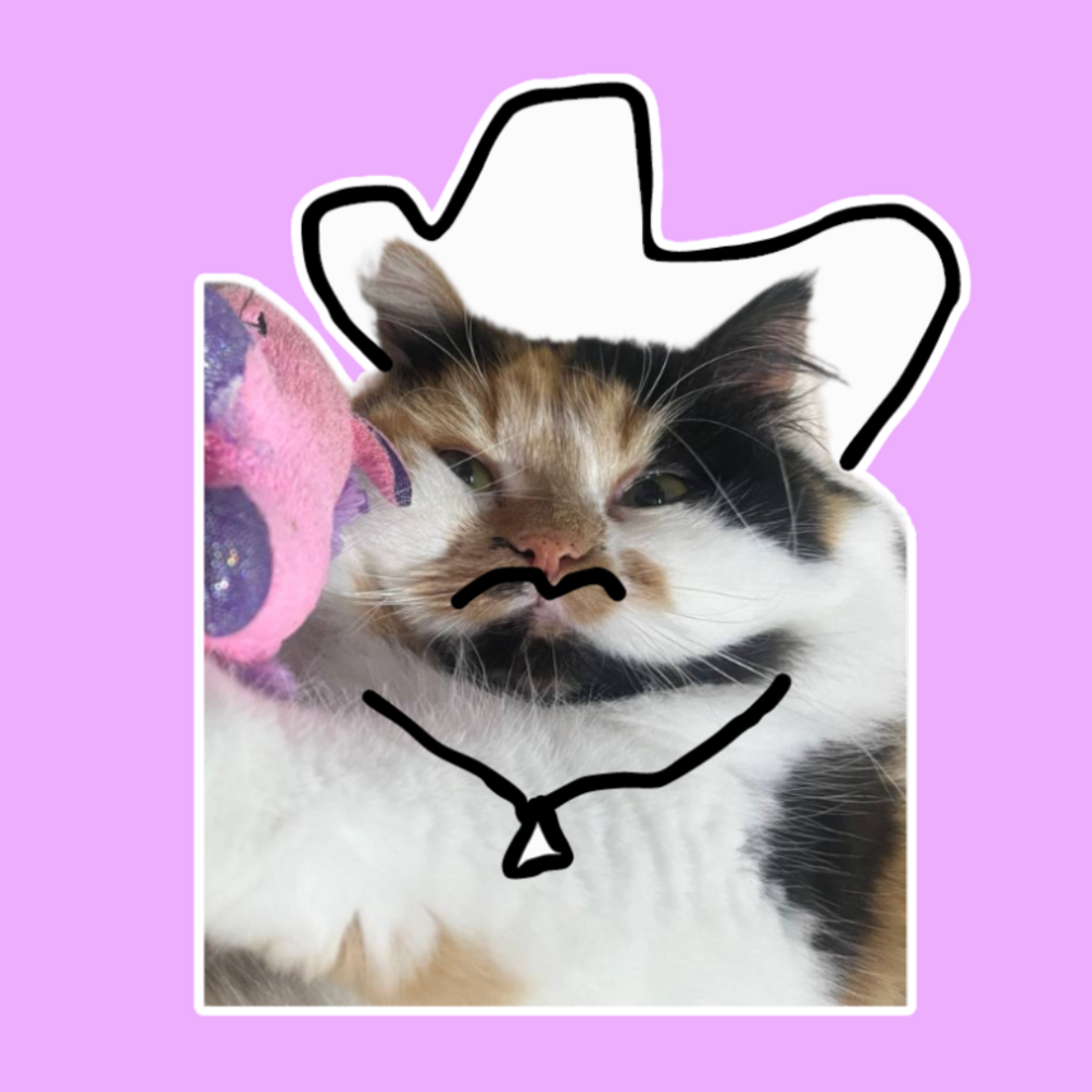 Cute Cat meme digital sticker