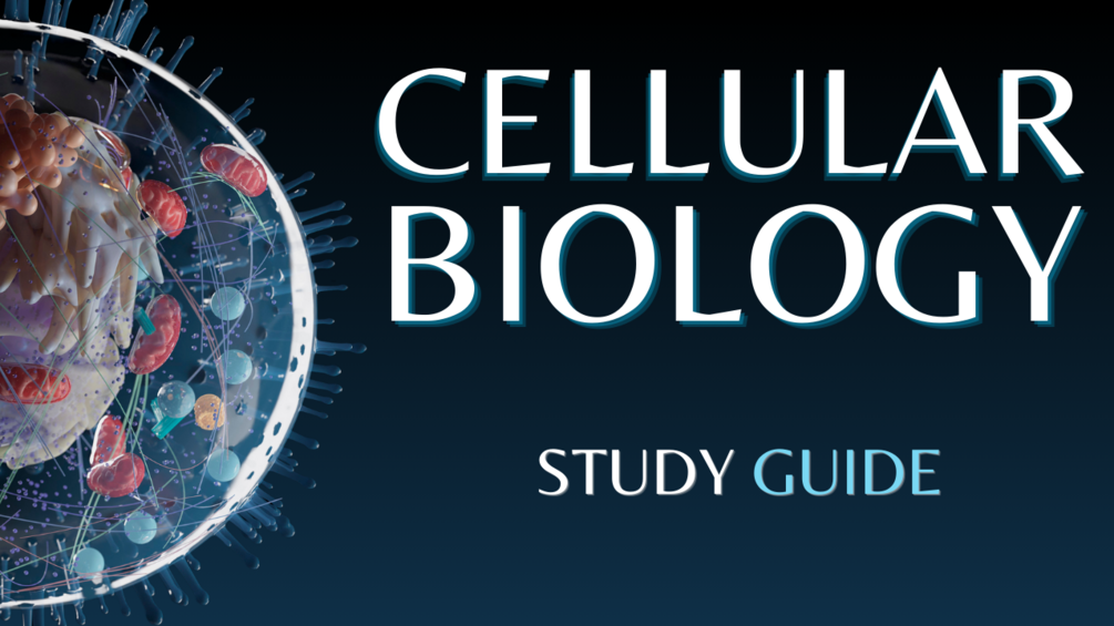 Cellular Biology Study Guide