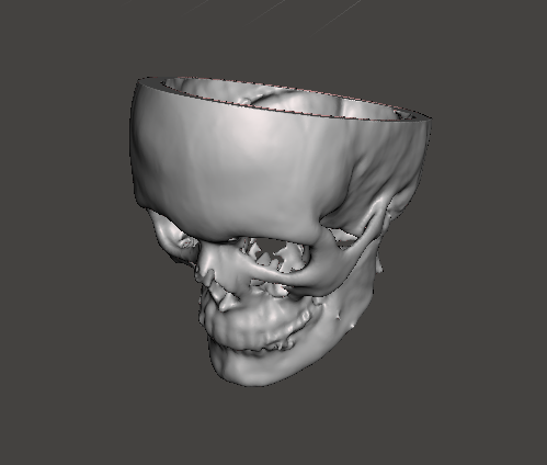 3D Model of an open Skull
