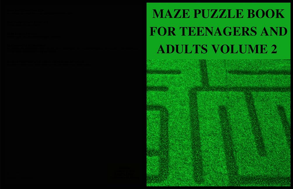 MAZE PUZZLE BOOK FOR TEENAGERS AND ADULTS VOLUME 2