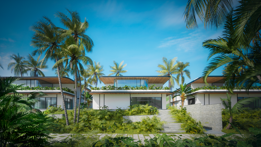 3D Model Cocos Tree Collection ( Only For Twinmotion).